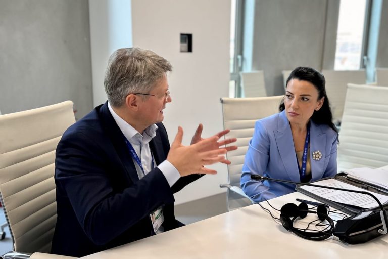 Prononcimi i Zëvendëskryeministres, njëherësh Ministër i ...